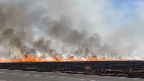 US: Grass Fire Burns Off Highway 99 In Tulare County, CA - Spectee